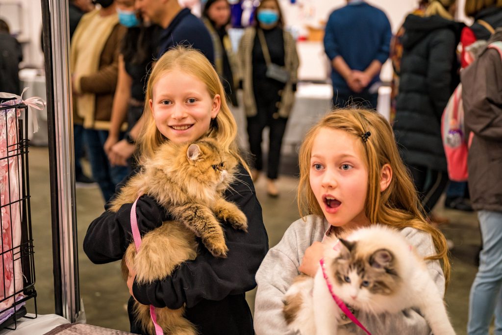 Cat Lovers Festival | Purr for joy at Australia's largest feline festival